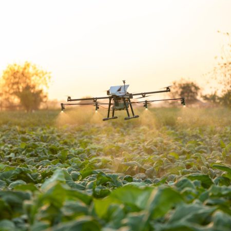 Agro Logistics - Connexxion Agro-Allied