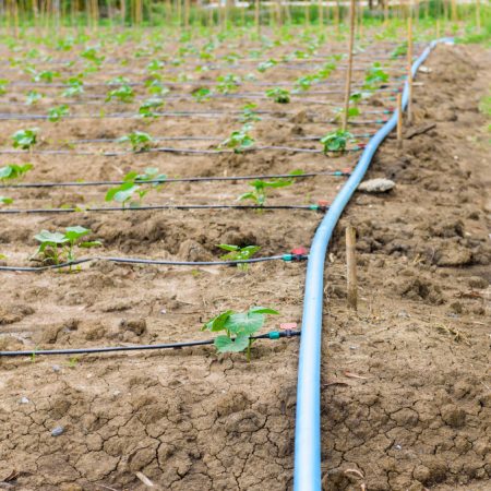 Drone Irrigation - Connexxion Agro-Allied